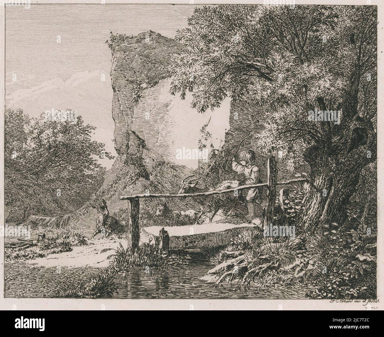 Child chasing three goats across hi-res stock photography and images ...