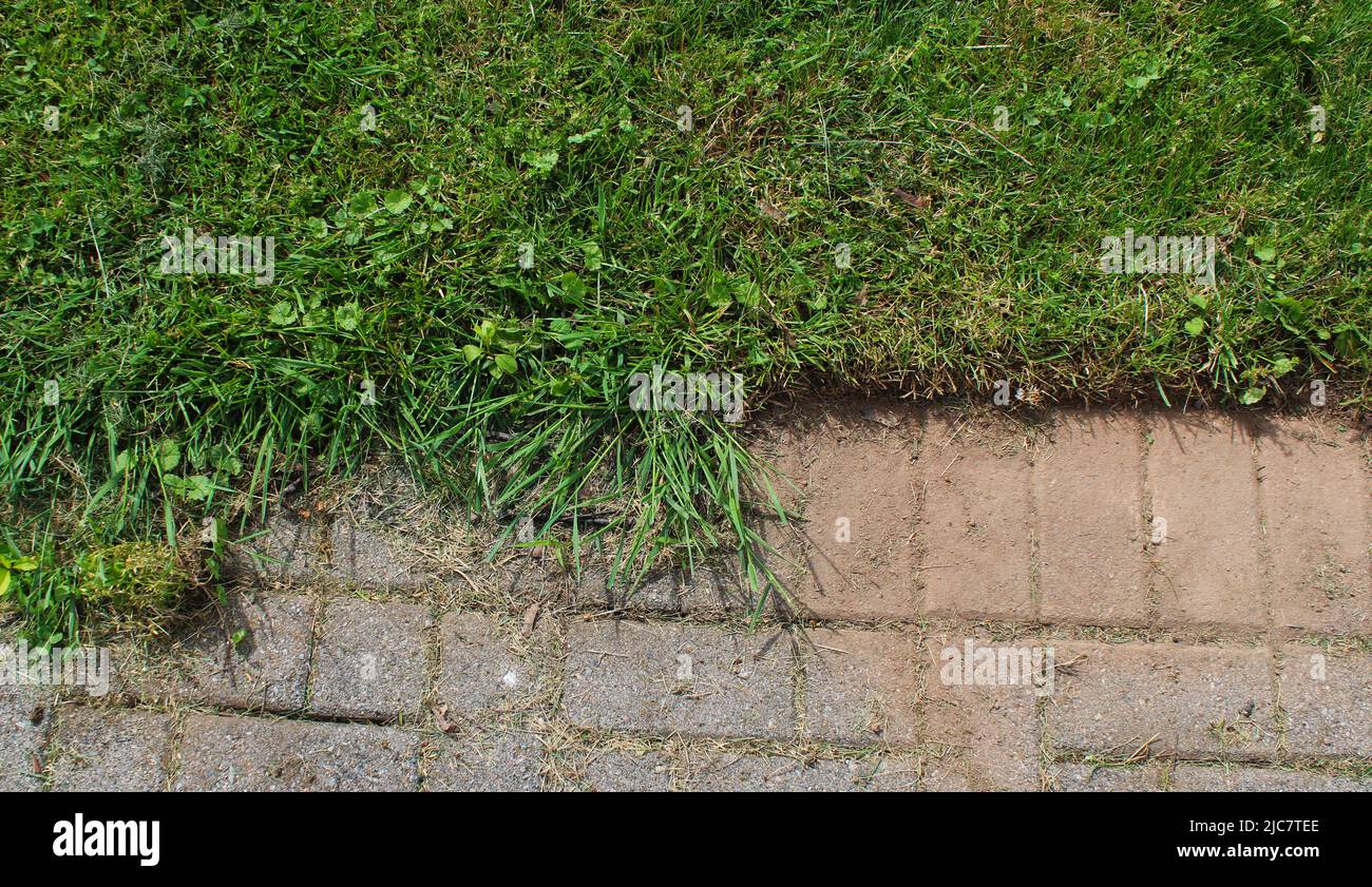 A Partially Edged Stone Pathway Stock Photo - Alamy
