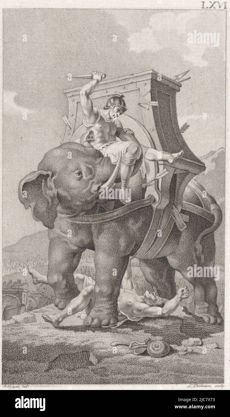 Injured elephant tramples hi-res stock photography and images - Alamy