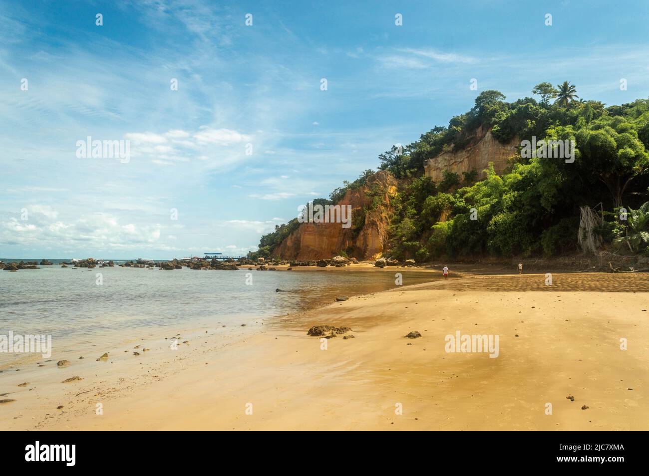 brazil beach landscape Stock Photo - Alamy