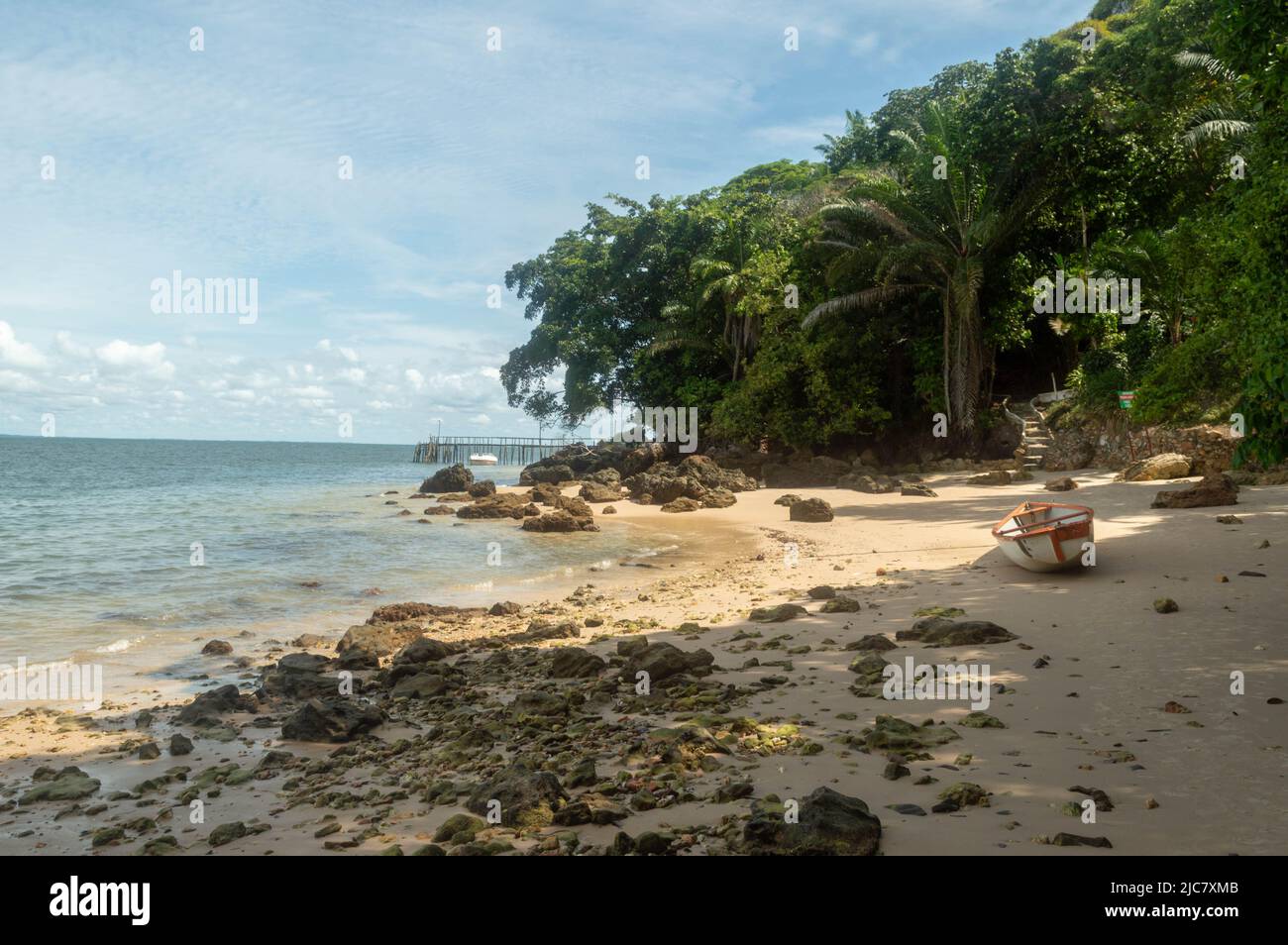 brazil beach landscape Stock Photo - Alamy
