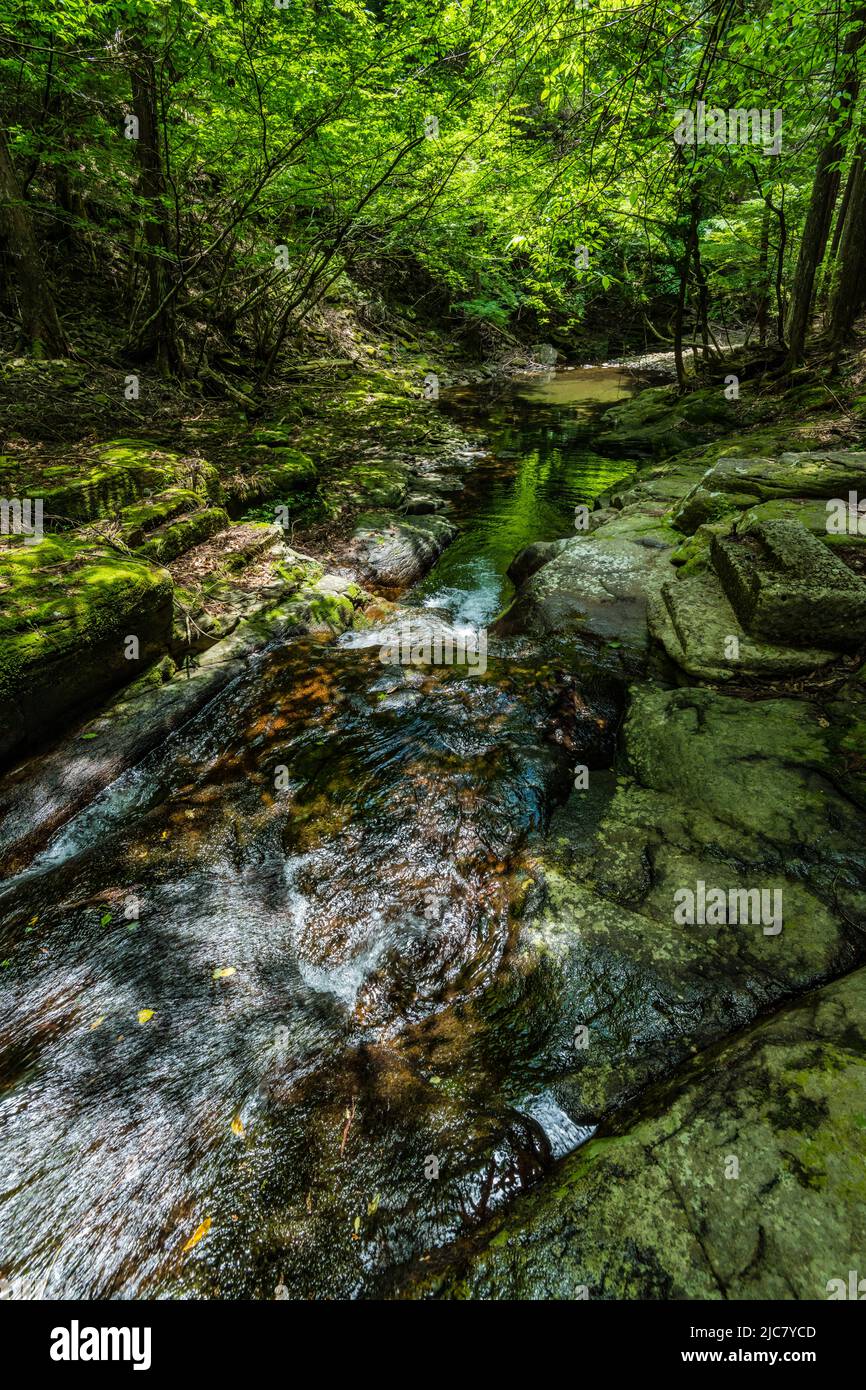 Mountain streams water ripples surface hi-res stock photography and ...
