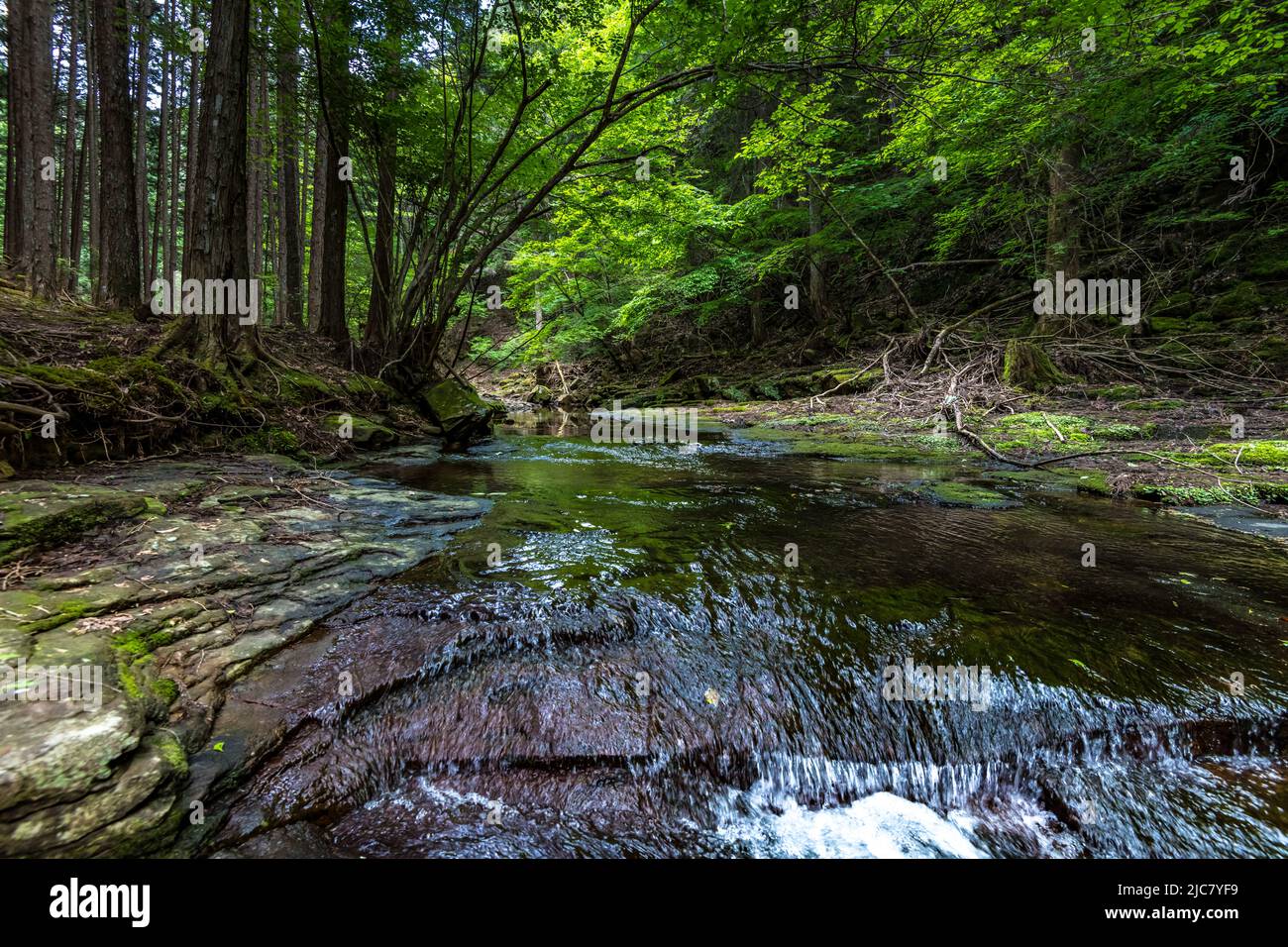 Stream of mirrors hi-res stock photography and images - Alamy