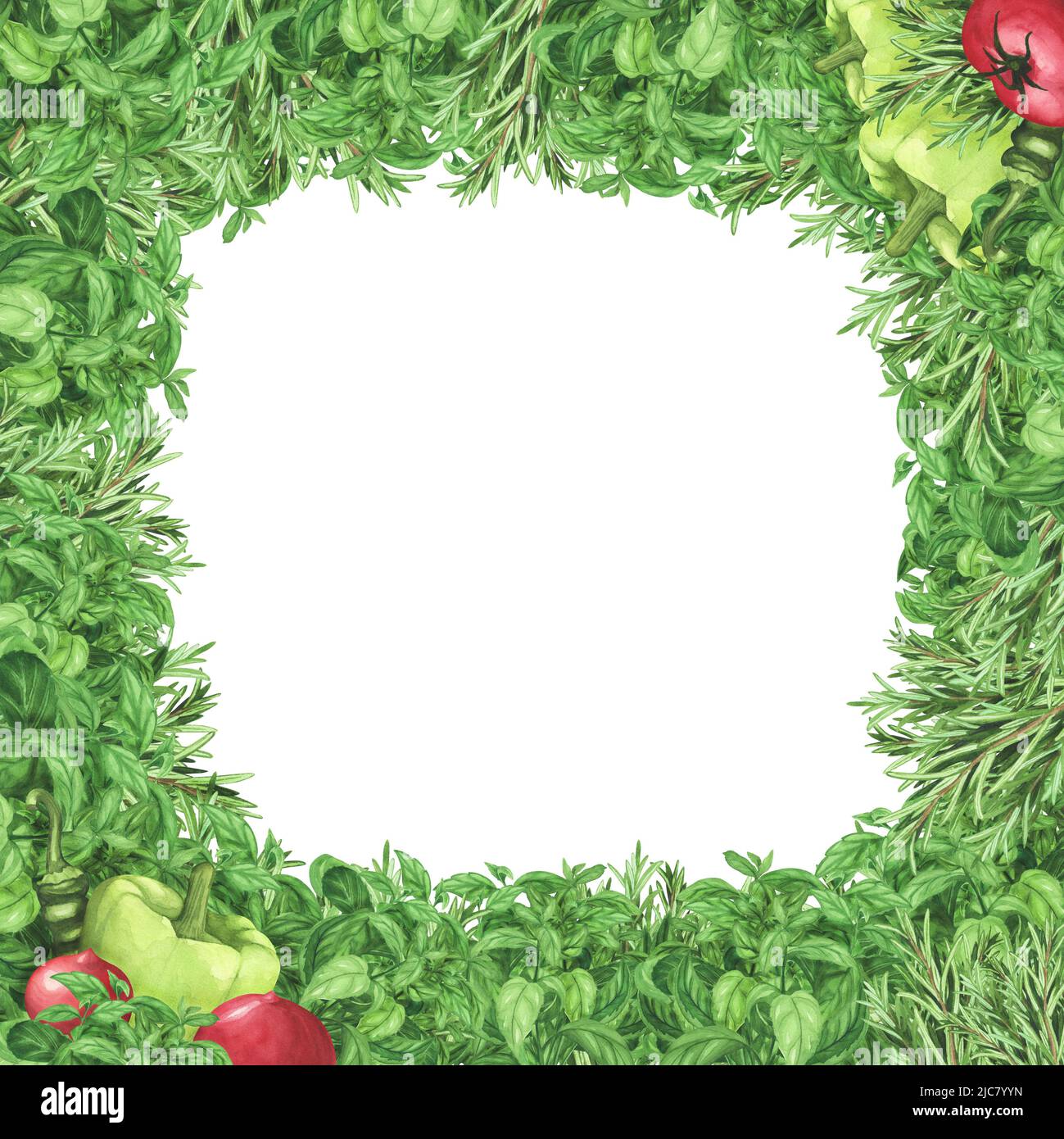 Border with fresh basil, rosemary, ripe tomatoes, chili pepper ...