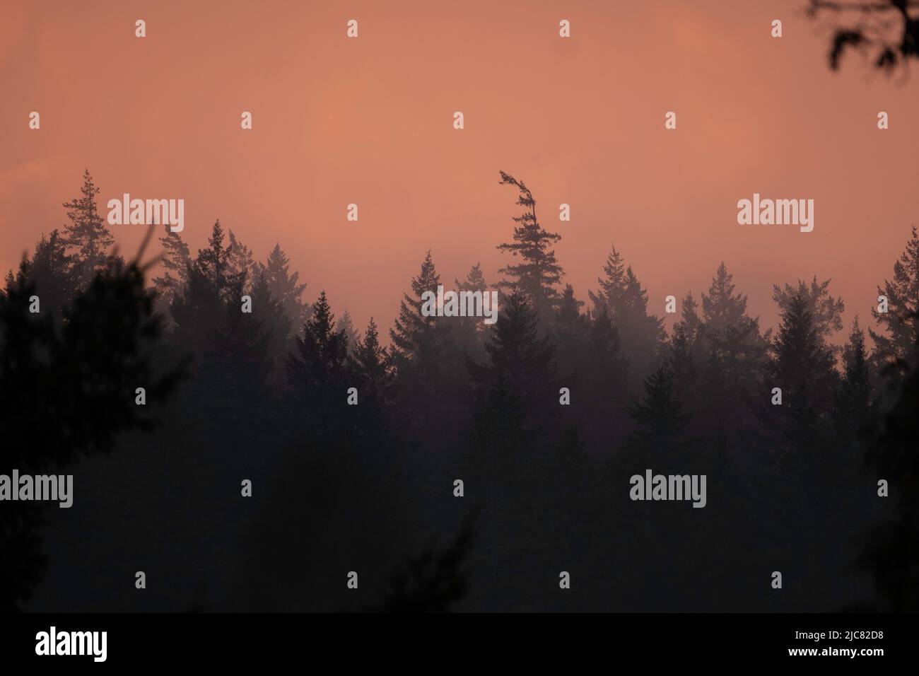 Firefighting smoke hi-res stock photography and images - Alamy