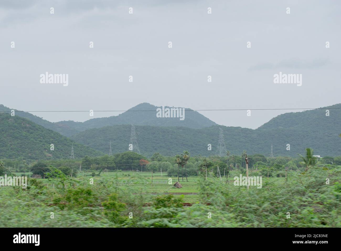 Beautiful Indian green scenery from kerala ,India Stock Photo - Alamy