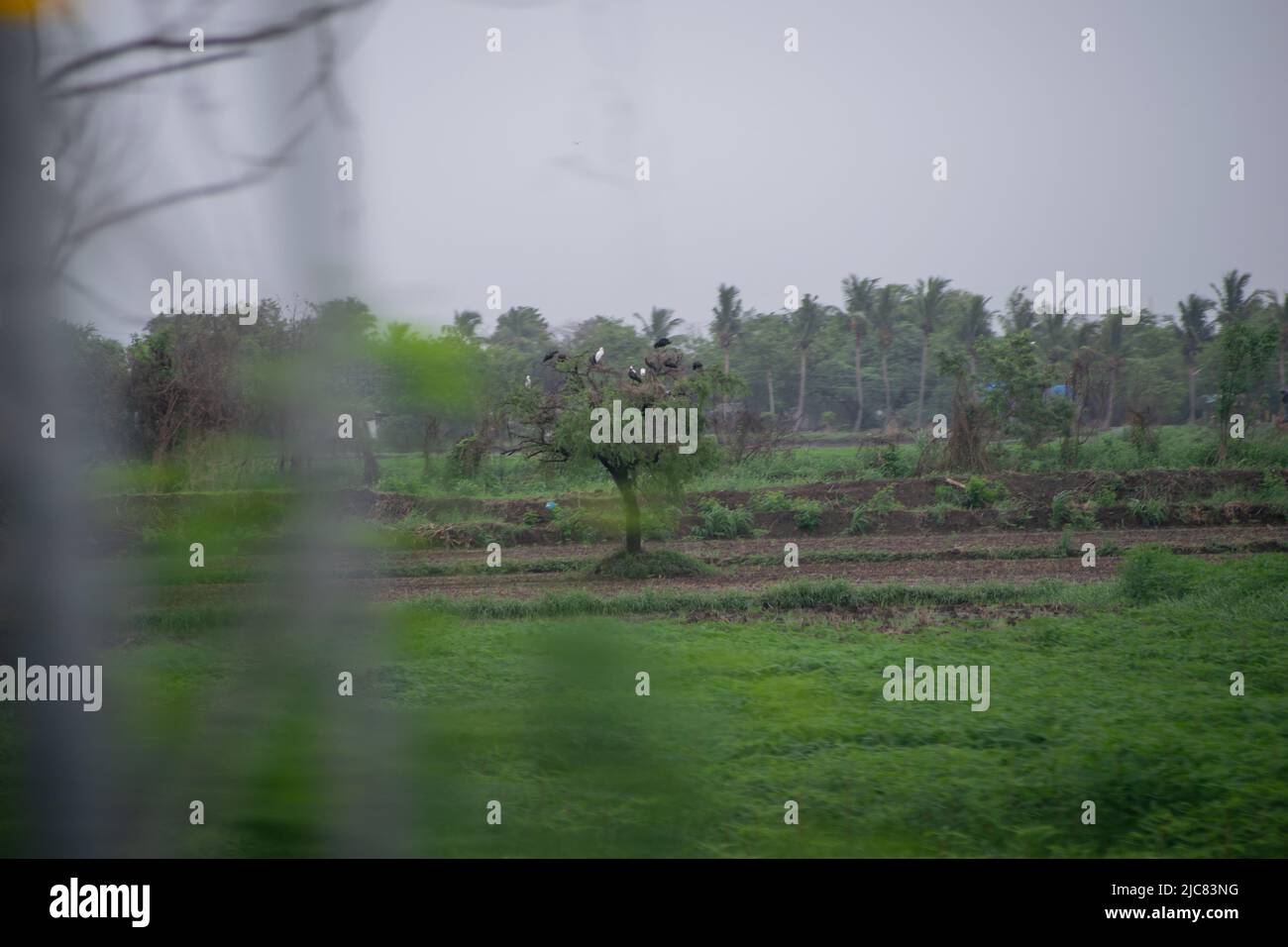 From kerala india hi-res stock photography and images - Alamy