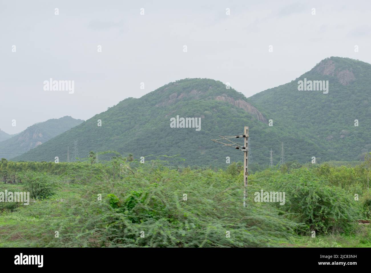 Beautiful Indian green scenery from kerala ,India Stock Photo - Alamy