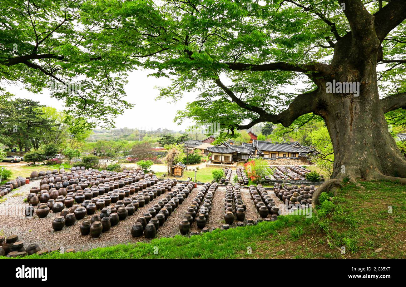 Traditional Korean Onggi (Jangdokdae Stock Photo - Alamy