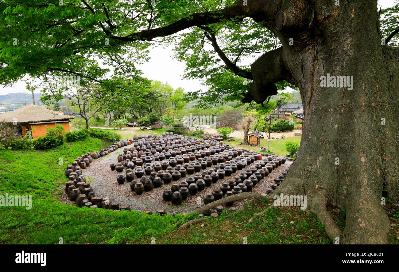Traditional Korean Onggi (Jangdokdae Stock Photo - Alamy