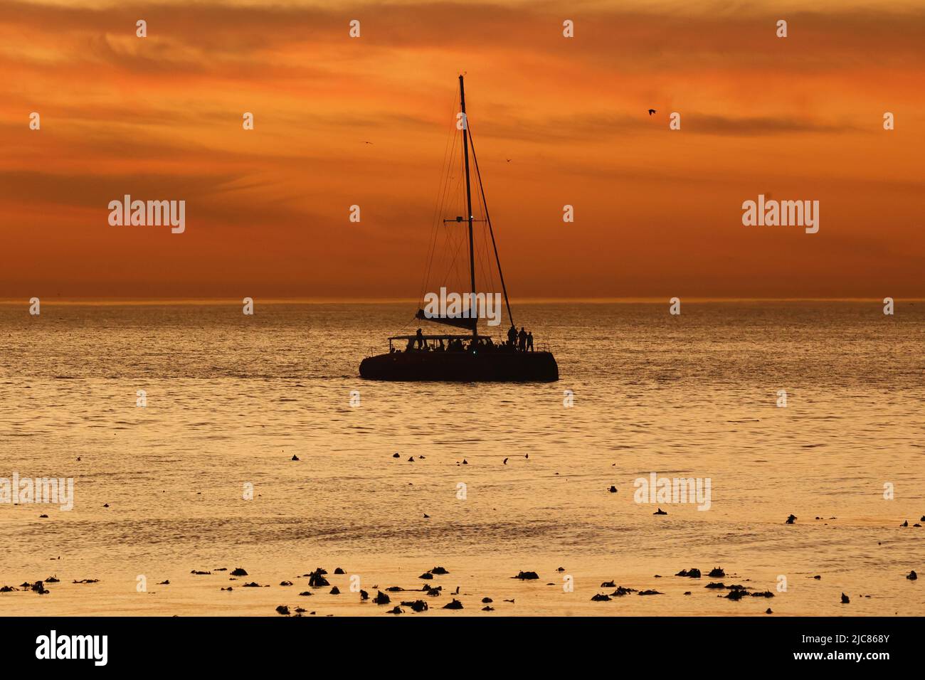 Sunset ocean view with a yacht, catamaran sailing, smooth sea, Cape ...