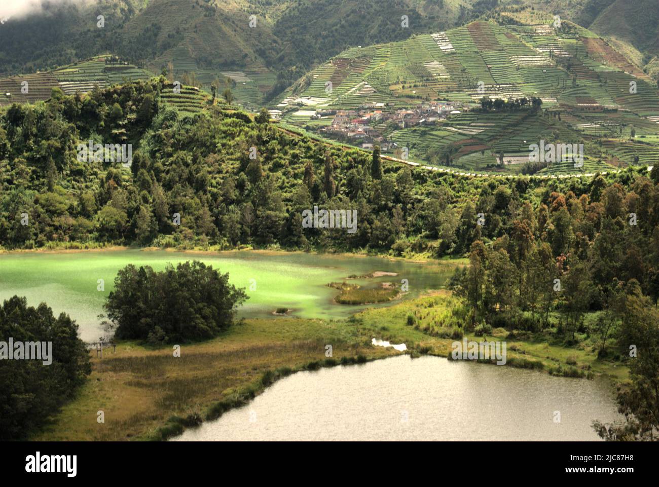 Aerial landscape Telaga Warna lake and Pengilon lake in a background of ...