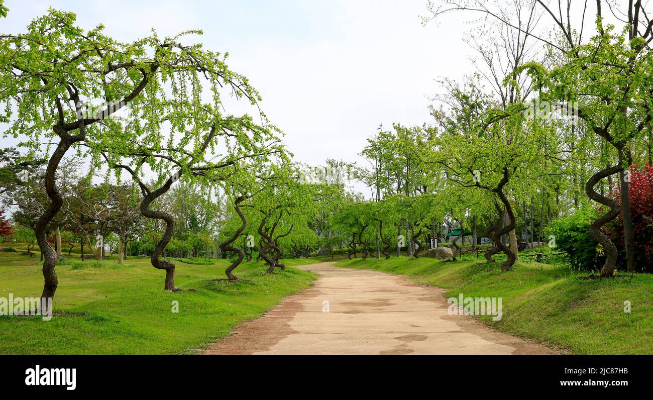 Beautiful garden spring landscape Stock Photo - Alamy