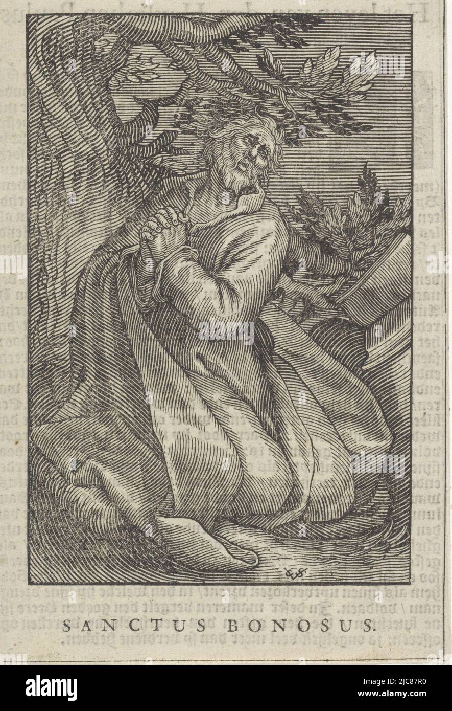 Hermit sanctus bonosus hi-res stock photography and images - Alamy