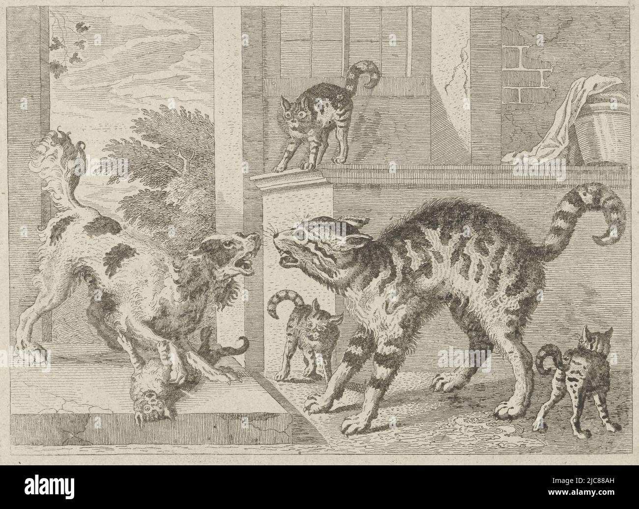 A dog has attacked a young kitten. Its mother comes to the rescue ...