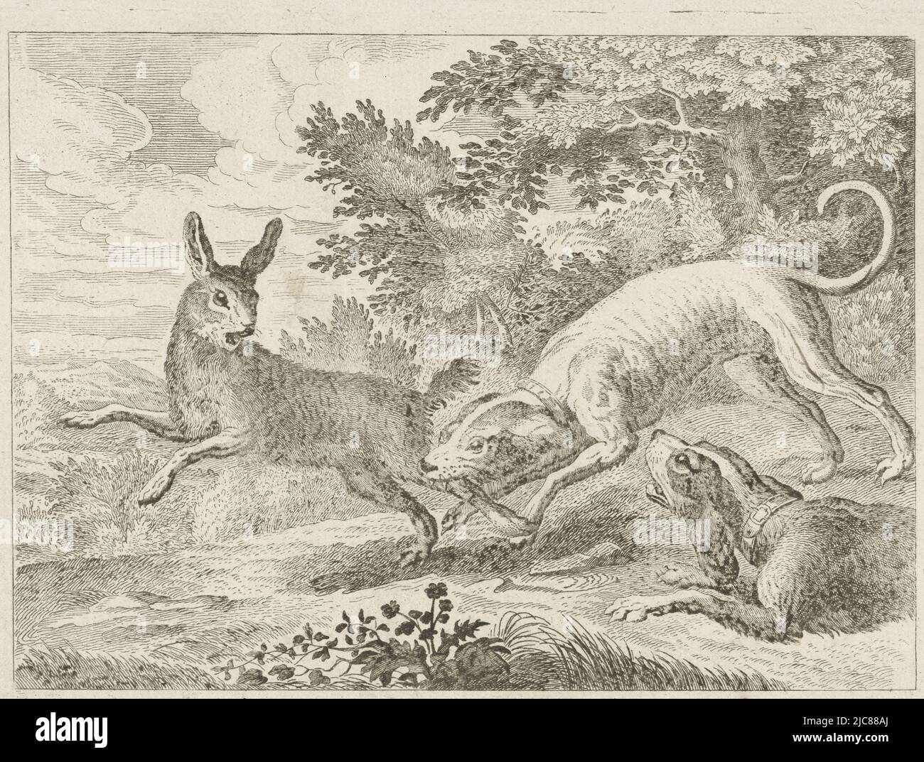 Two dogs chasing a hare. The print is part of a series with different ...