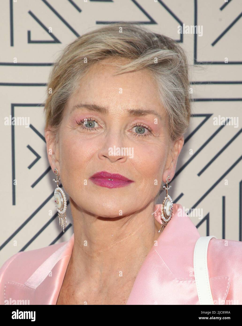 10 June 2022 - Hollywood, California - Sharon Stone, the 2022 CORE Gala ...