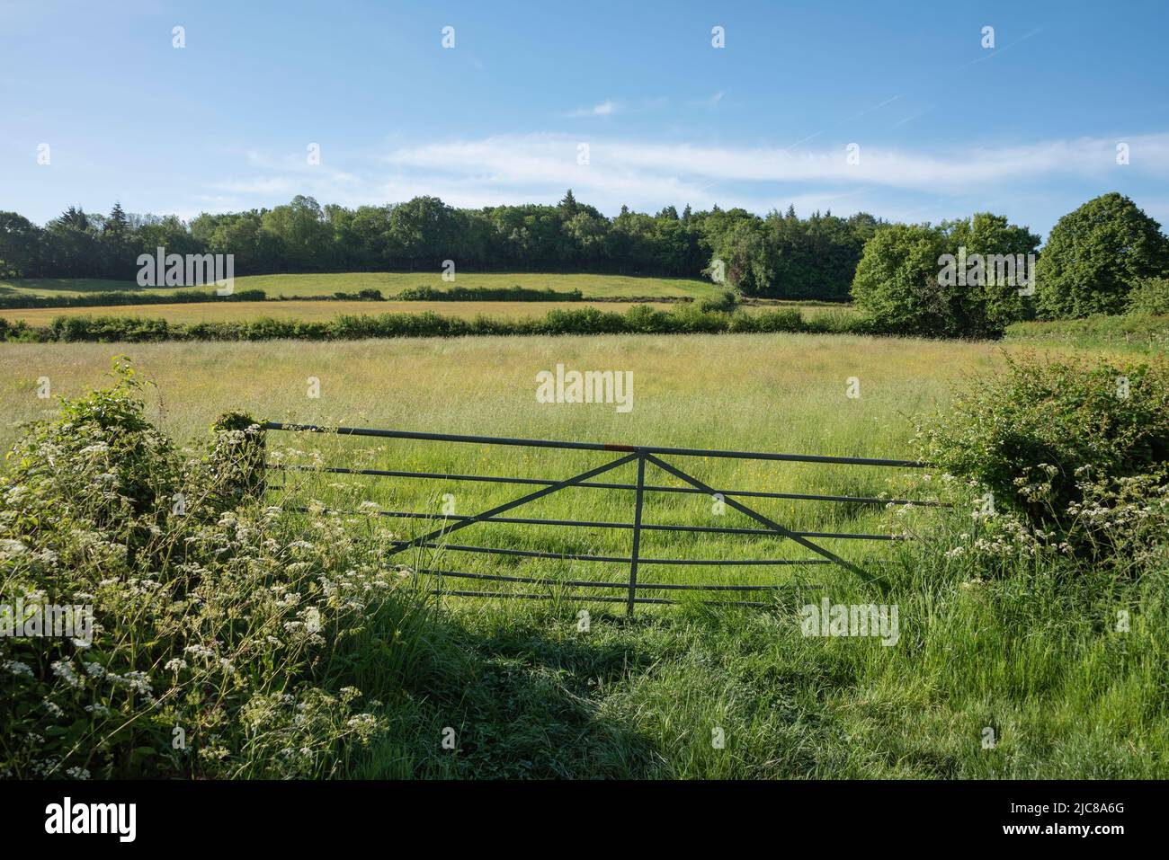Beautiful Summer landscape image of typical English countryside Stock ...