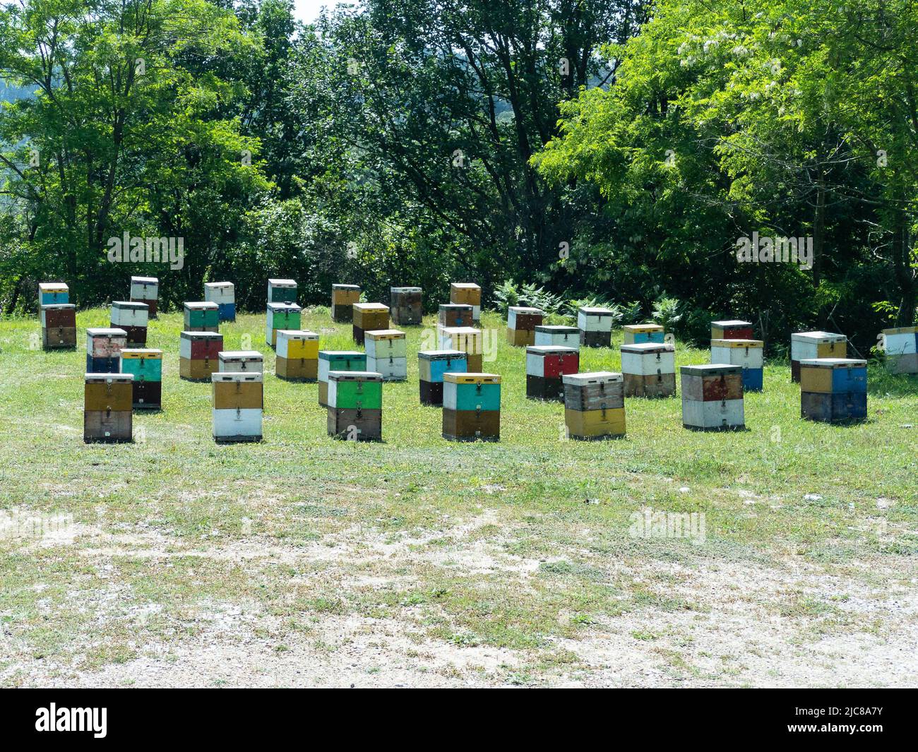 Bee hives in farm field hi-res stock photography and images - Alamy