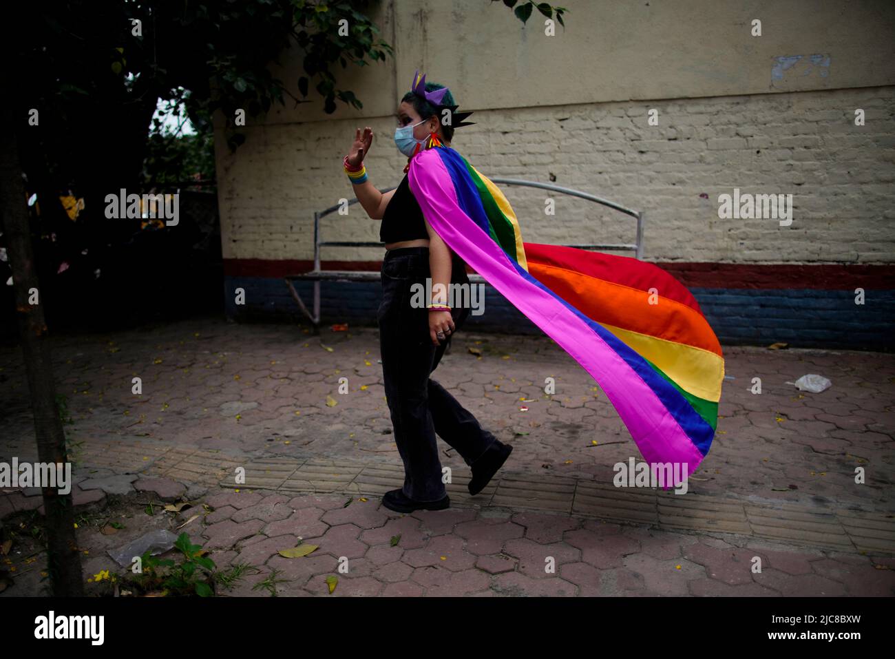 Kathmandu, Nepal. 11th June, 2022. Hundreds of people from the LGBTIQ ...