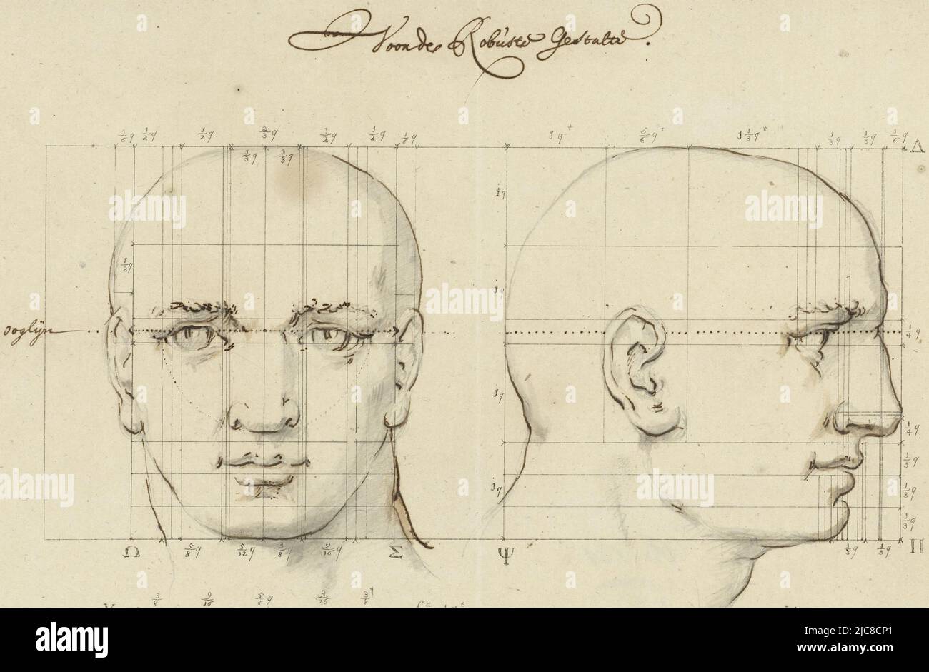 Proper proportions hi-res stock photography and images - Alamy