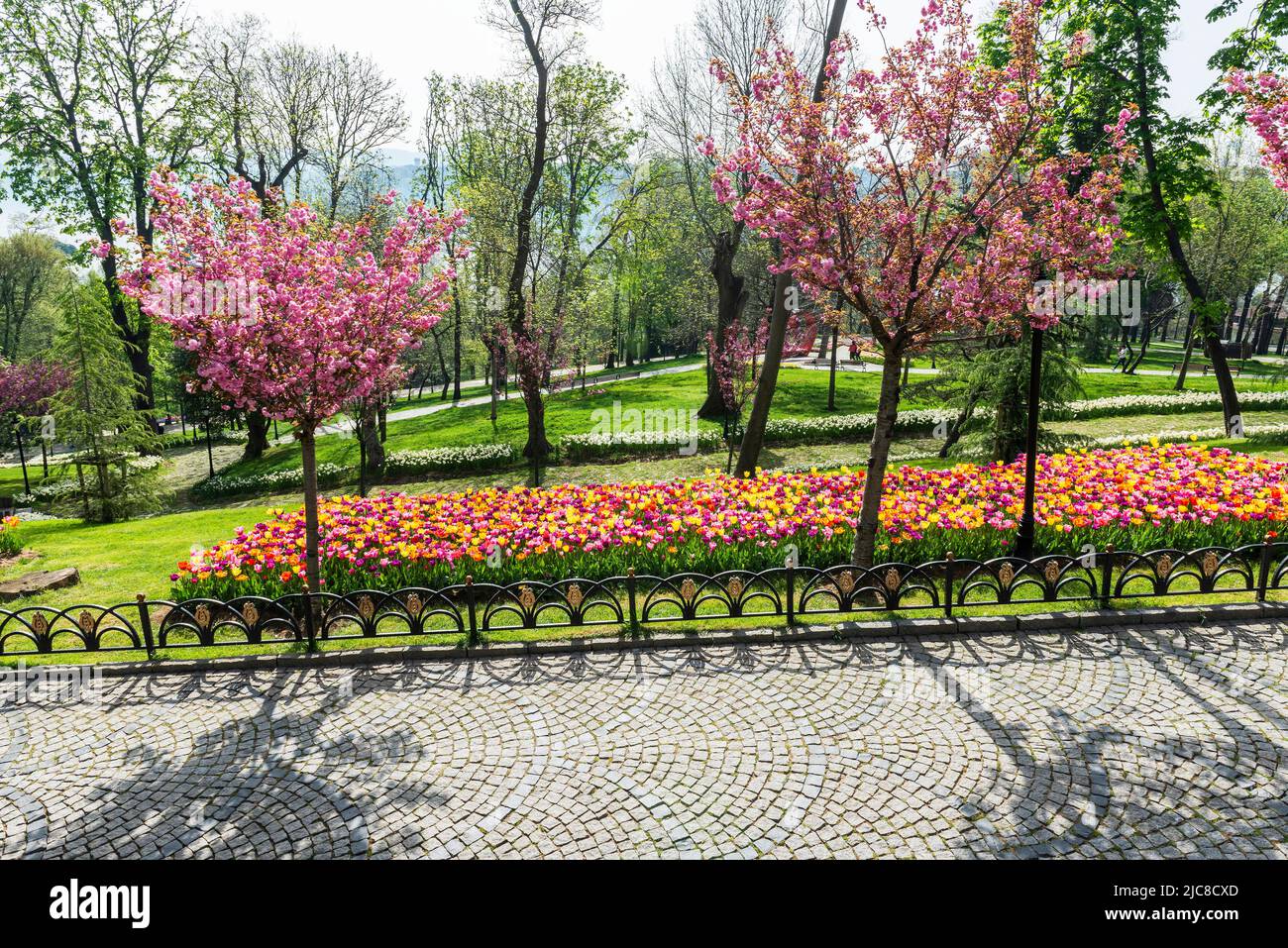 Colorful Tulips in Emirgan Park. Istanbul Tulip Festival. Istanbul ...