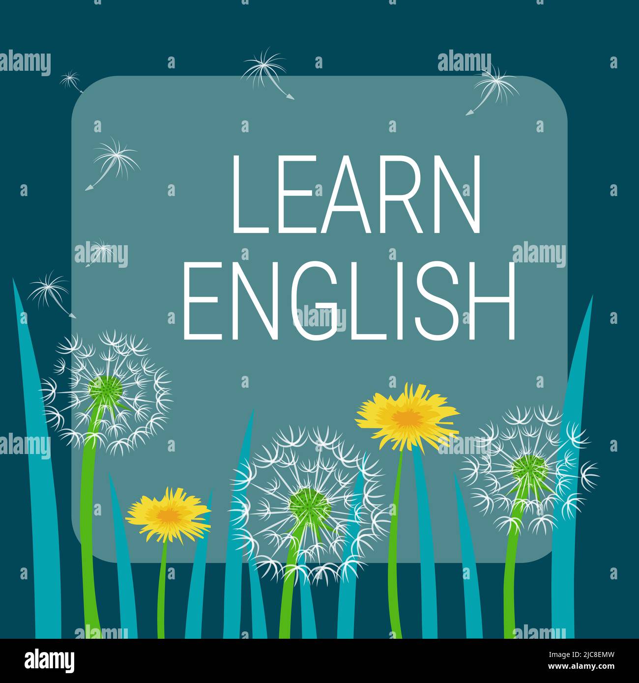 Hand writing sign Learn English. Business overview Universal Language ...