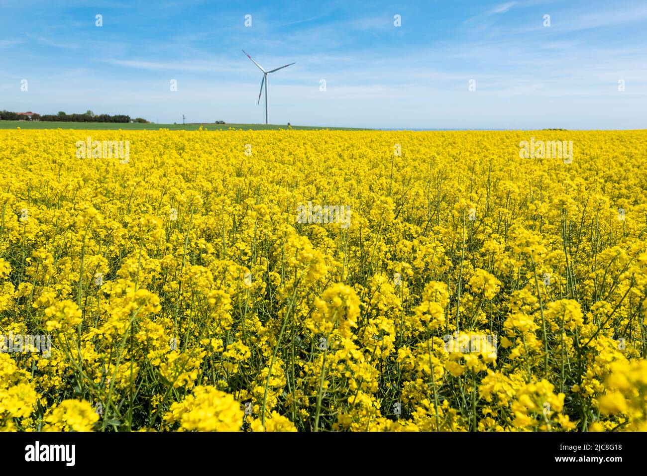 Aerial view canola fields canola hi-res stock photography and images ...