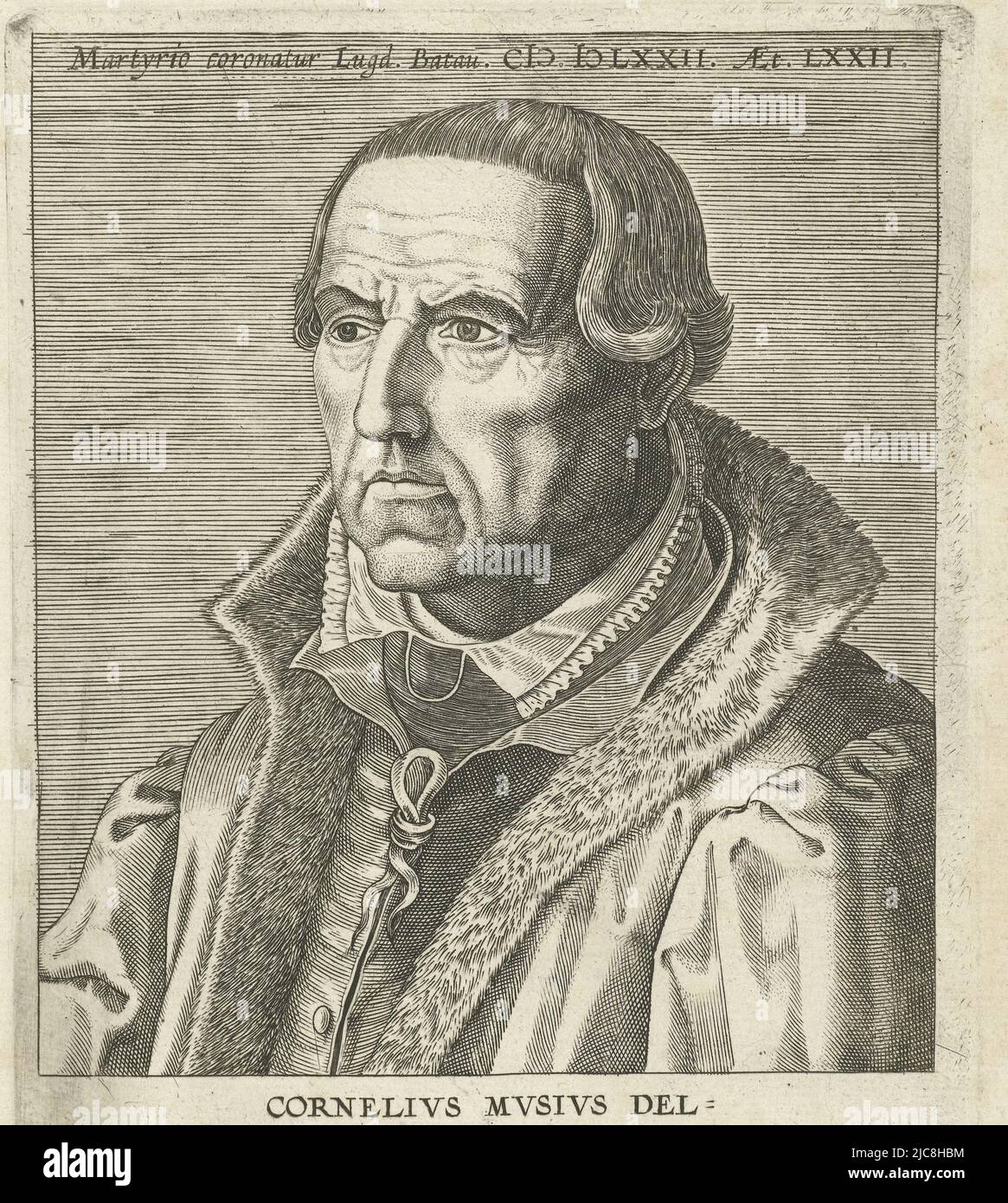 Delphensis hi-res stock photography and images - Alamy