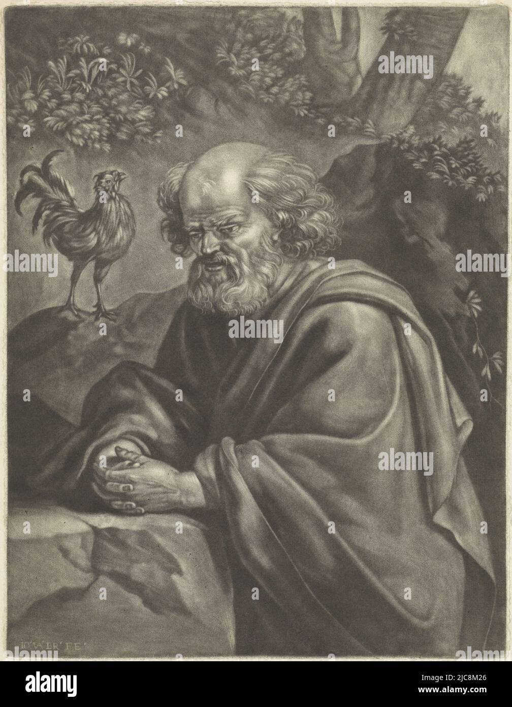 Rooster Crowing Peter