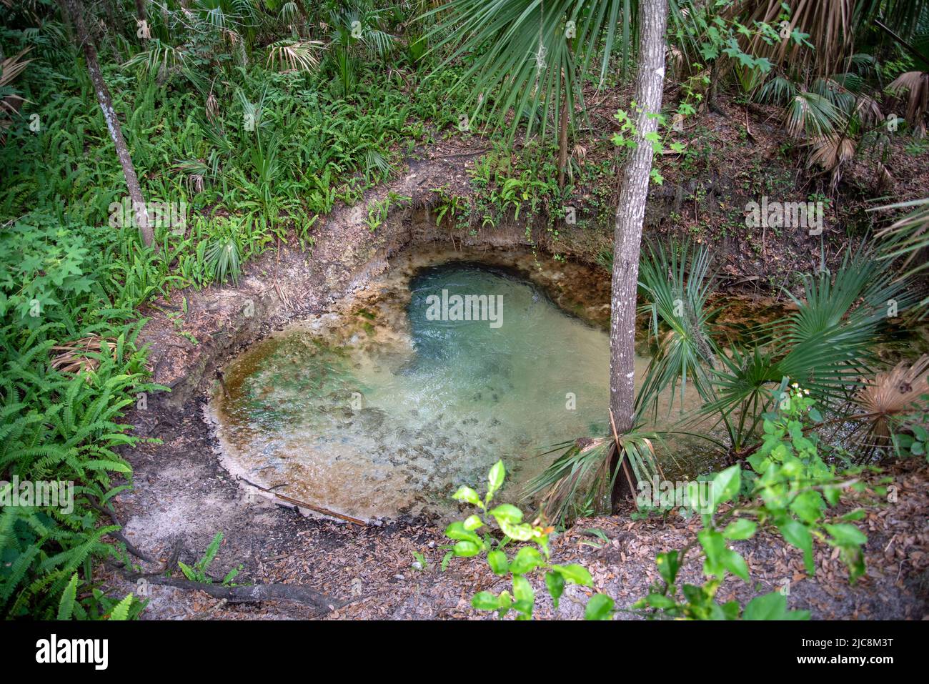 Debary florida hi-res stock photography and images - Alamy