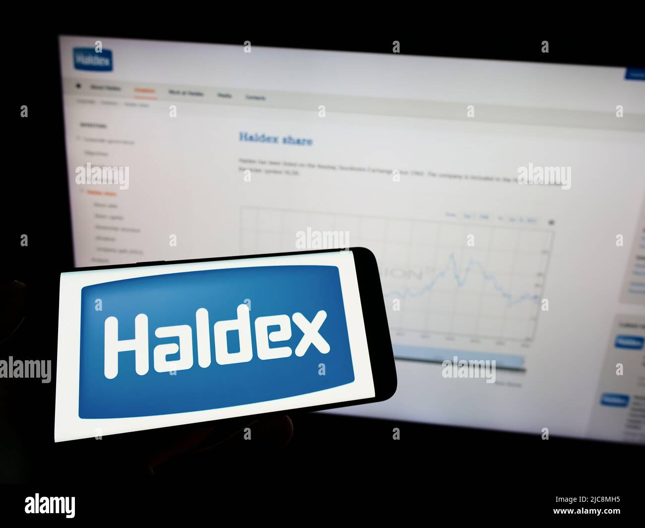 Person holding mobile phone with logo of automotive company Haldex Europe SAS on screen in front ...