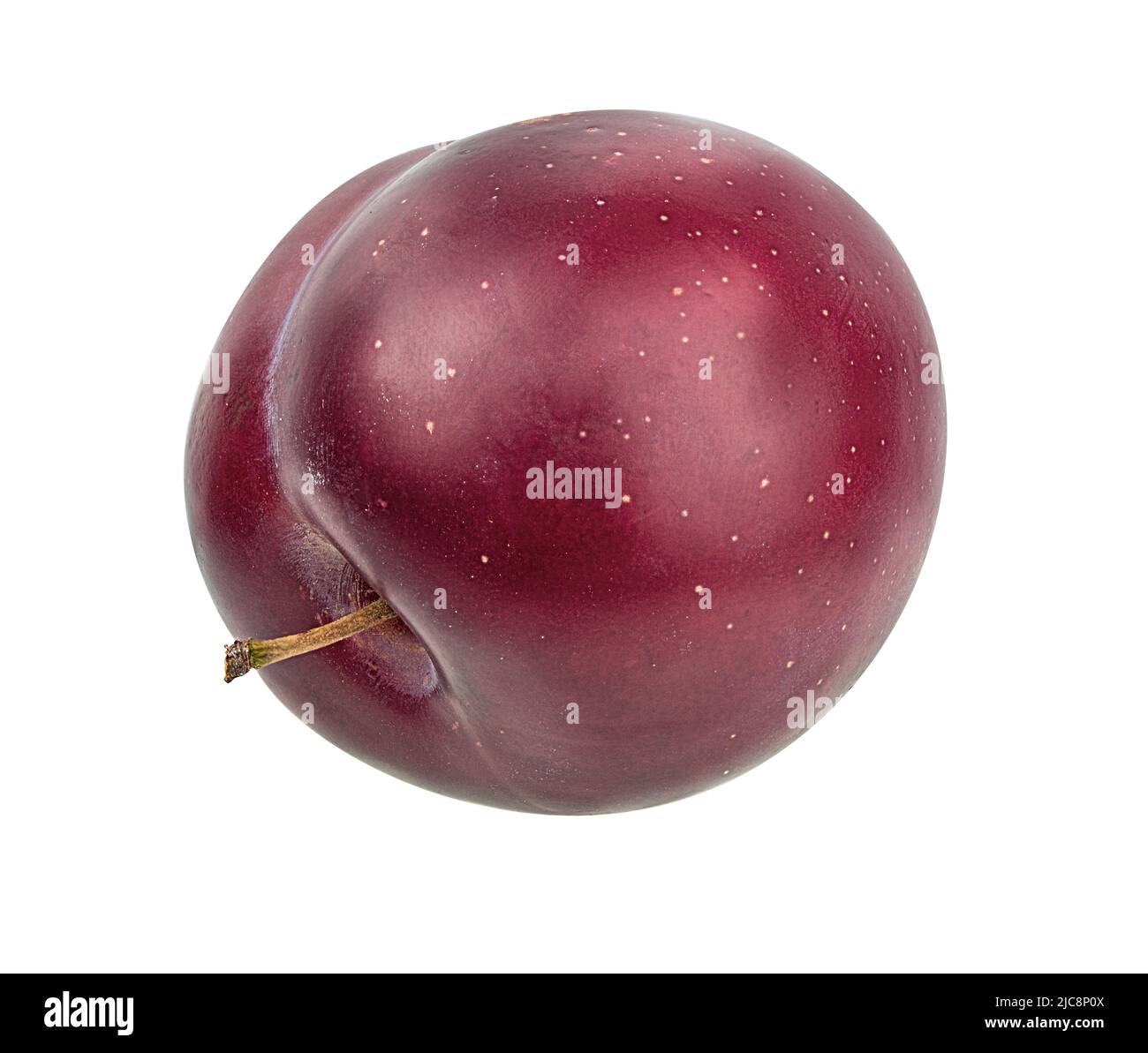 Plum isolated on white background Stock Photo - Alamy