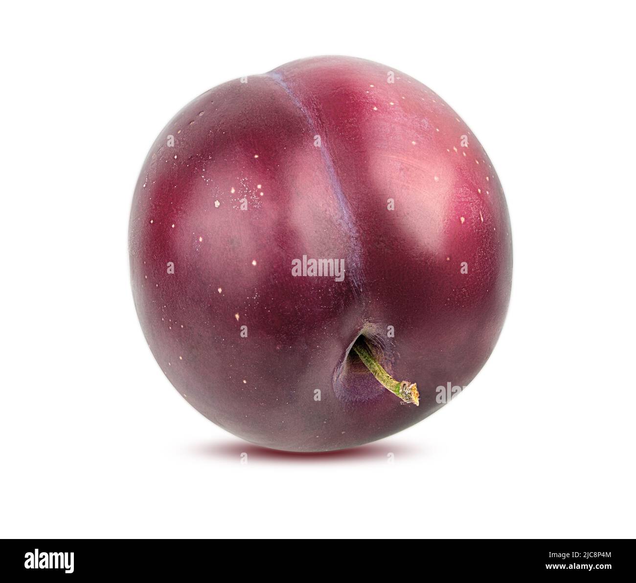 Plum isolated on white background Stock Photo - Alamy