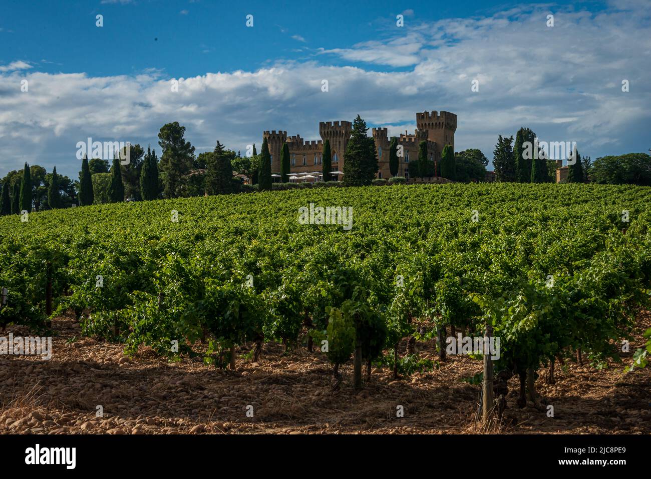 landscape of vineyards at chateauneuf du pape with cobble stones or ...
