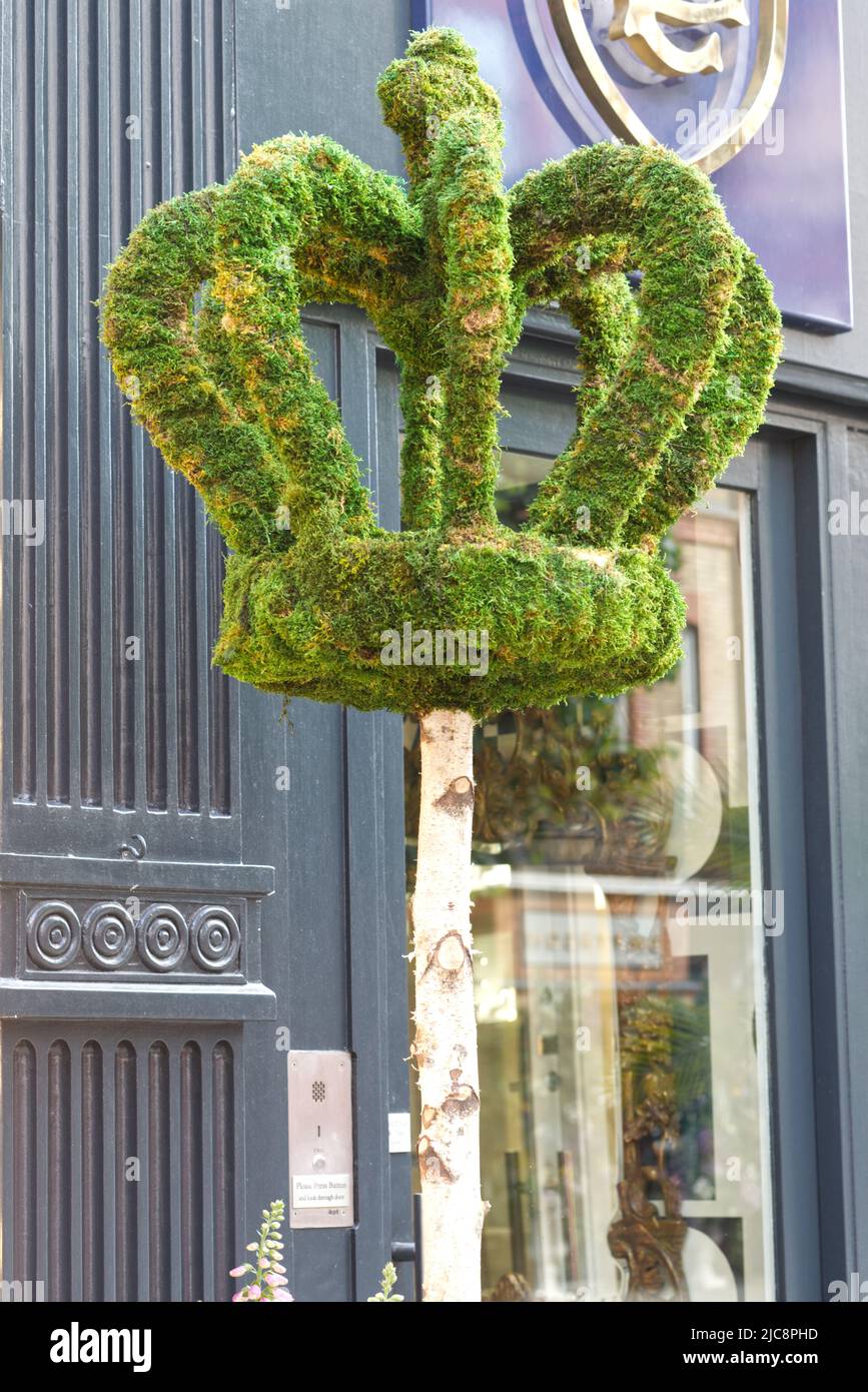 Chelsea in bloom flower displays in London Stock Photo - Alamy