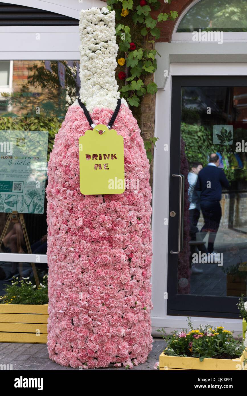 Chelsea in bloom flower displays in London Stock Photo - Alamy