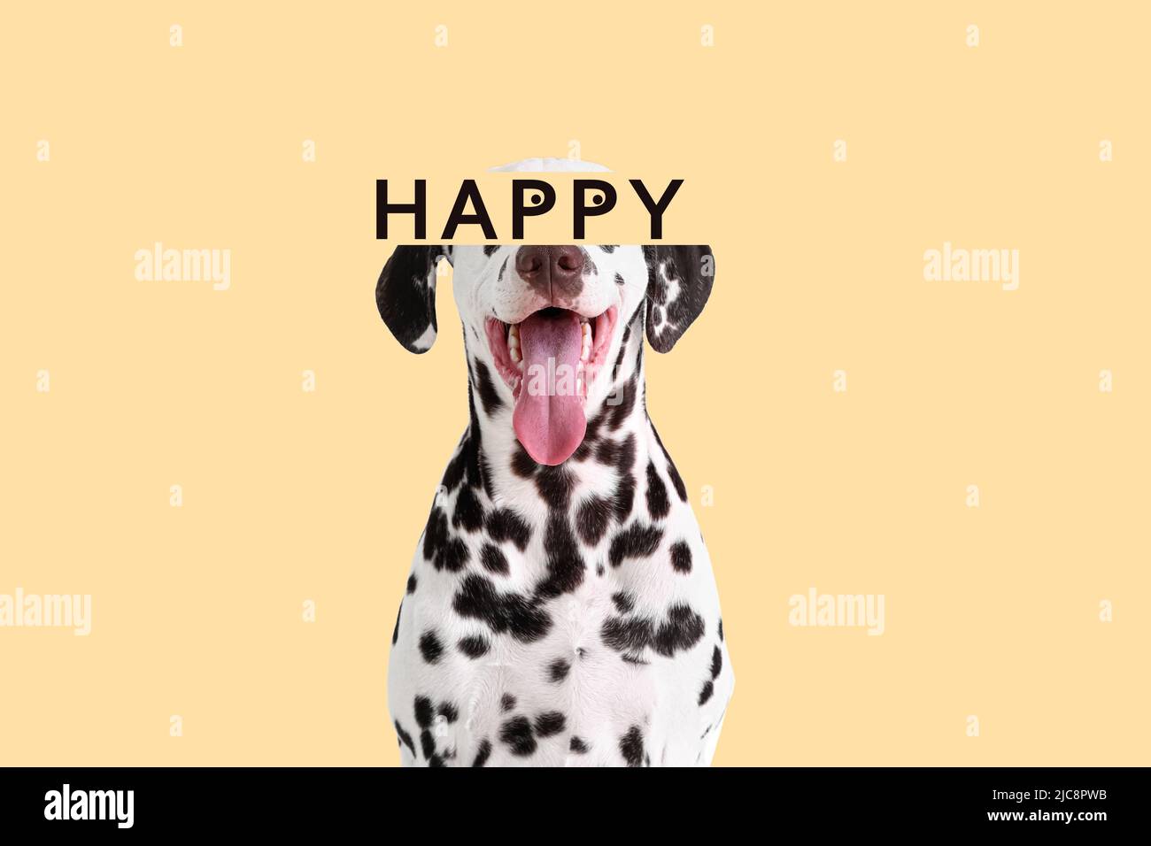 Cute Dalmatian dog and word HAPPY on beige background Stock Photo - Alamy