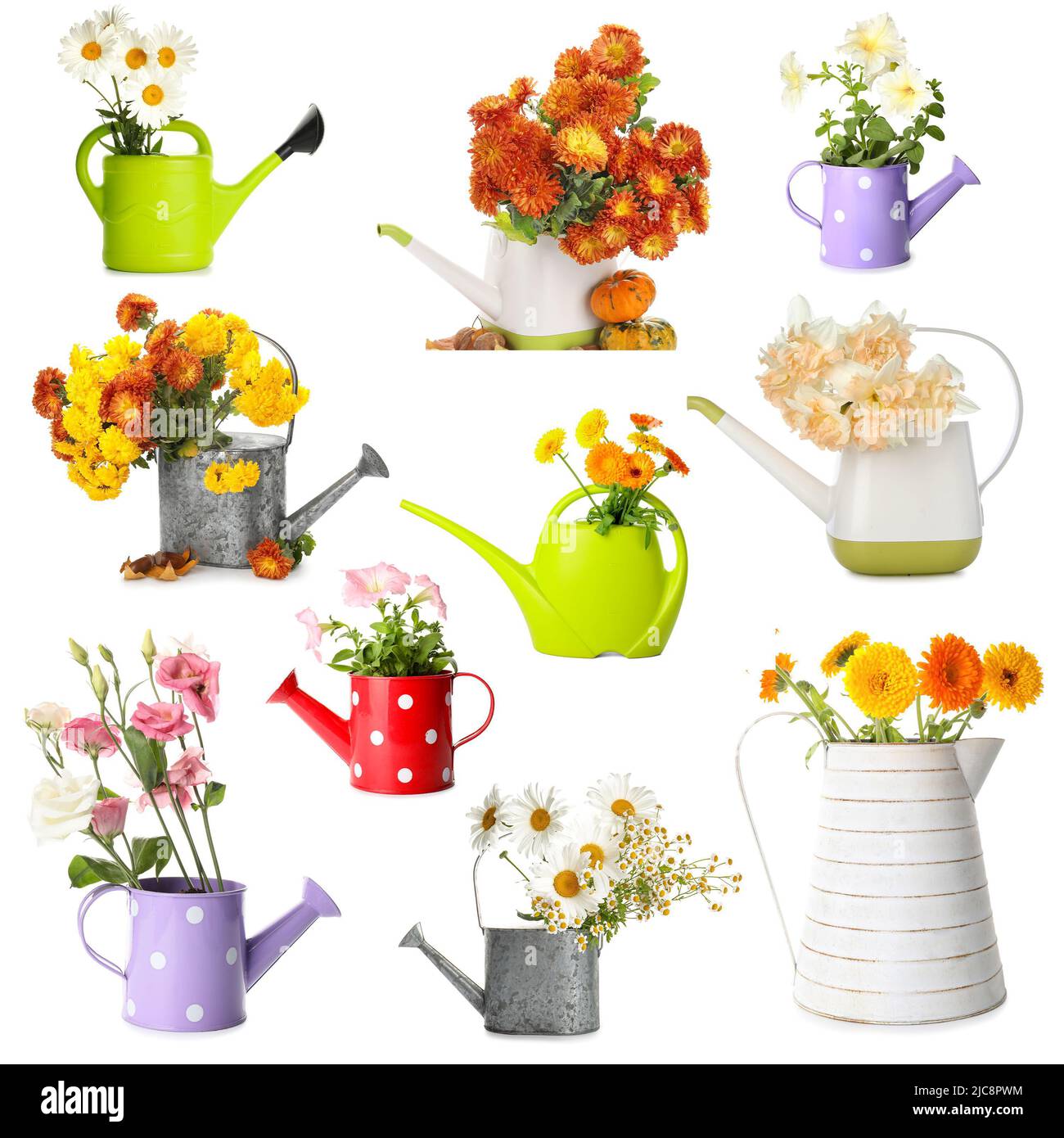 Set of watering cans with bouquets of beautiful flowers isolated on ...