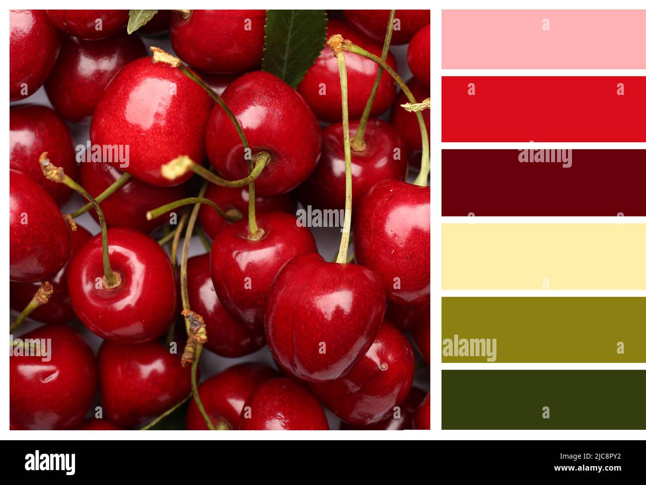 Closeup patterns Cut Out Stock Images & Pictures - Alamy