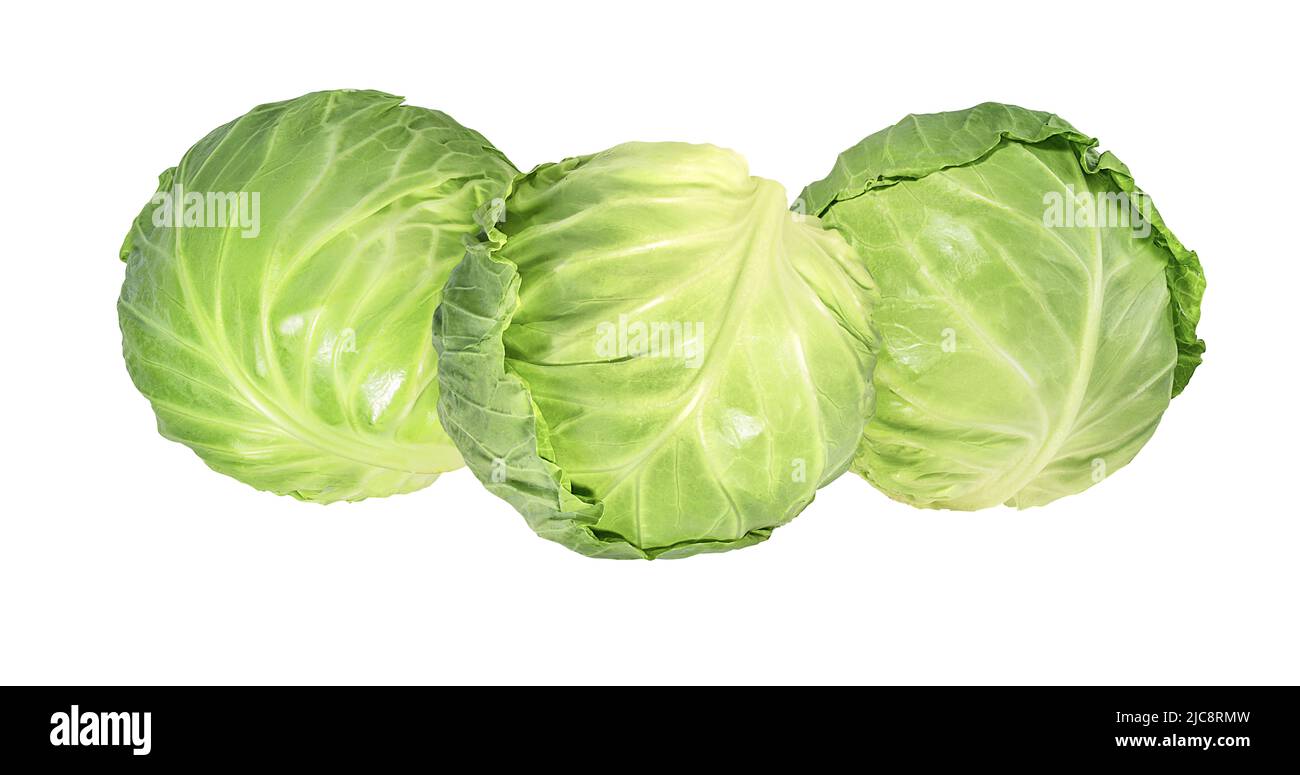 Green cabbage isolated on a white background Stock Photo - Alamy