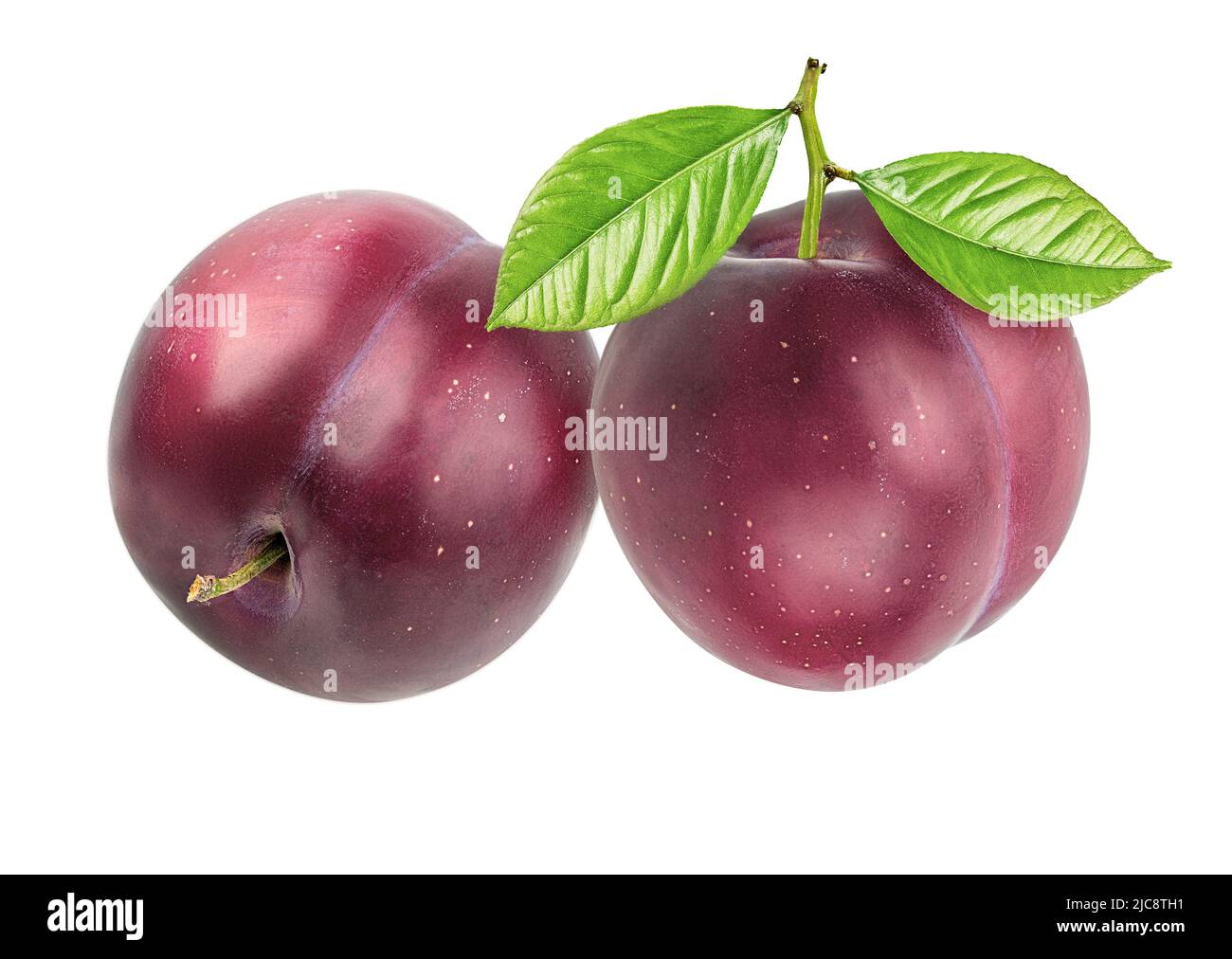Plum isolated on white background Stock Photo - Alamy