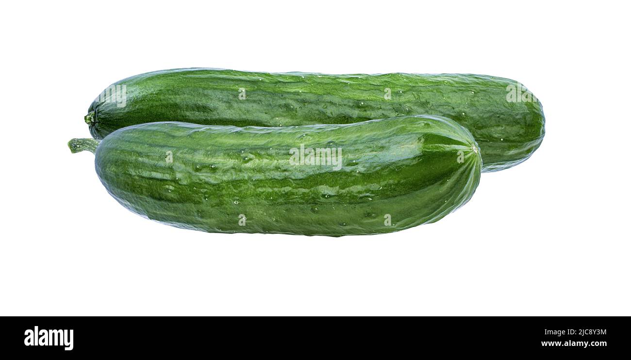 cucumber isolated on white background Stock Photo - Alamy
