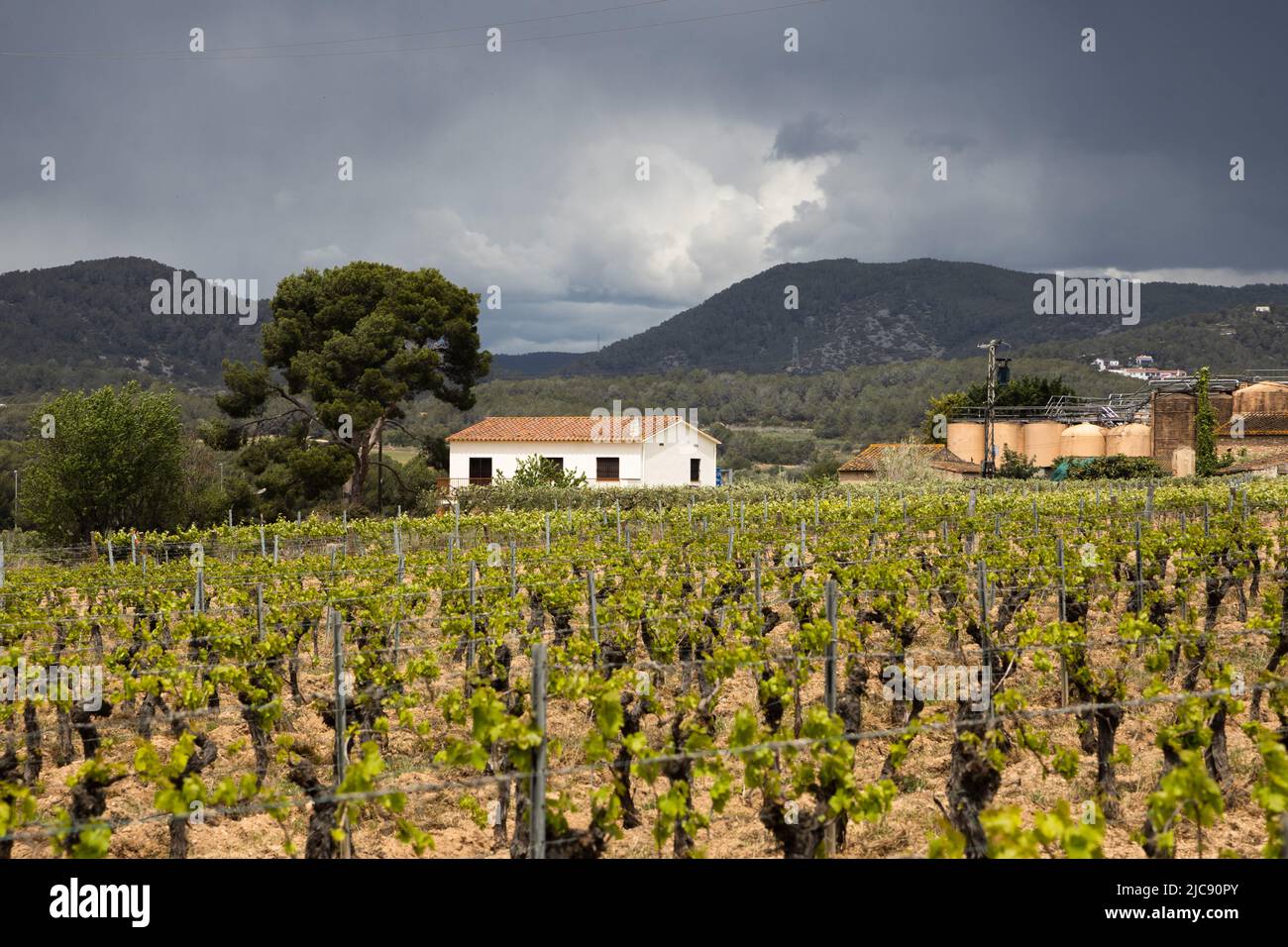 Old farm house catalonia hi-res stock photography and images - Alamy