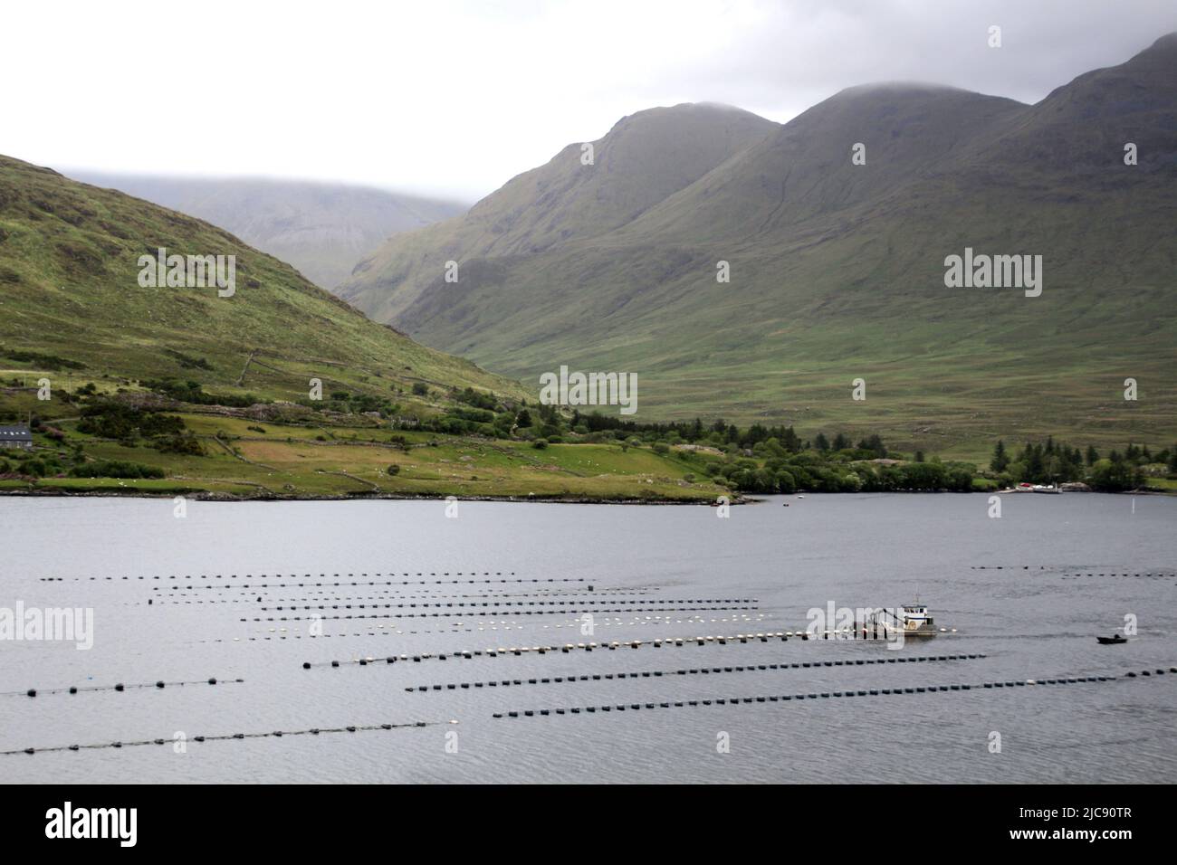 Seaboard farms hi-res stock photography and images - Alamy