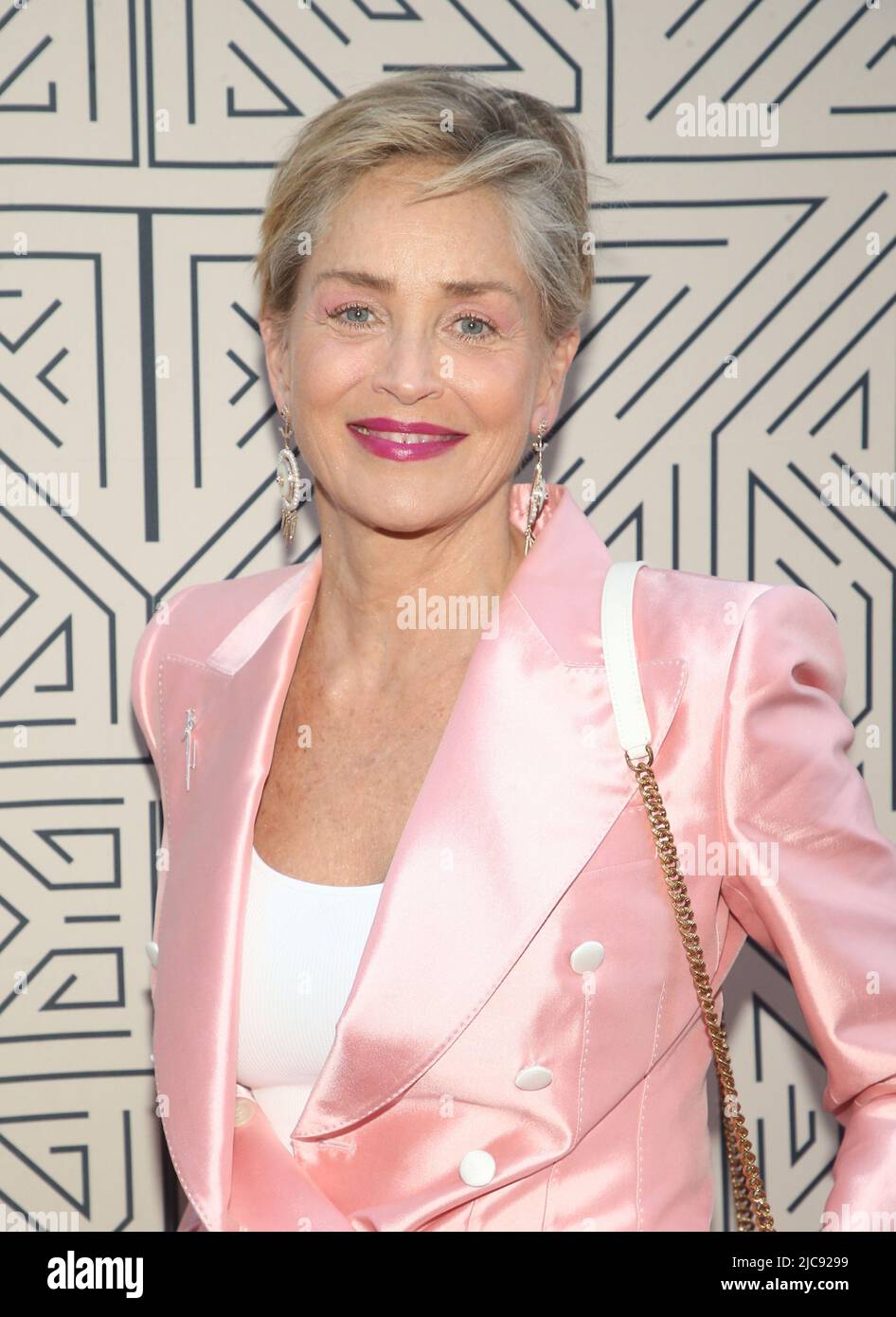 Los Angeles, Ca. 10th June, 2022. Sharon Stone at the 2022 CORE Gala at ...