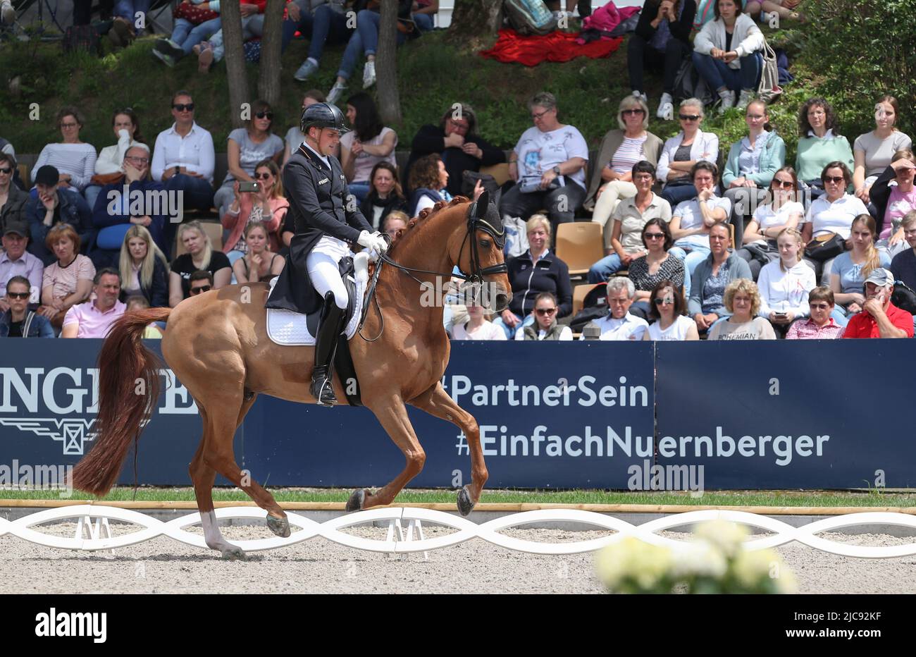 Balve, Germany. 11th June, 2022. Equestrian sport: German championship ...