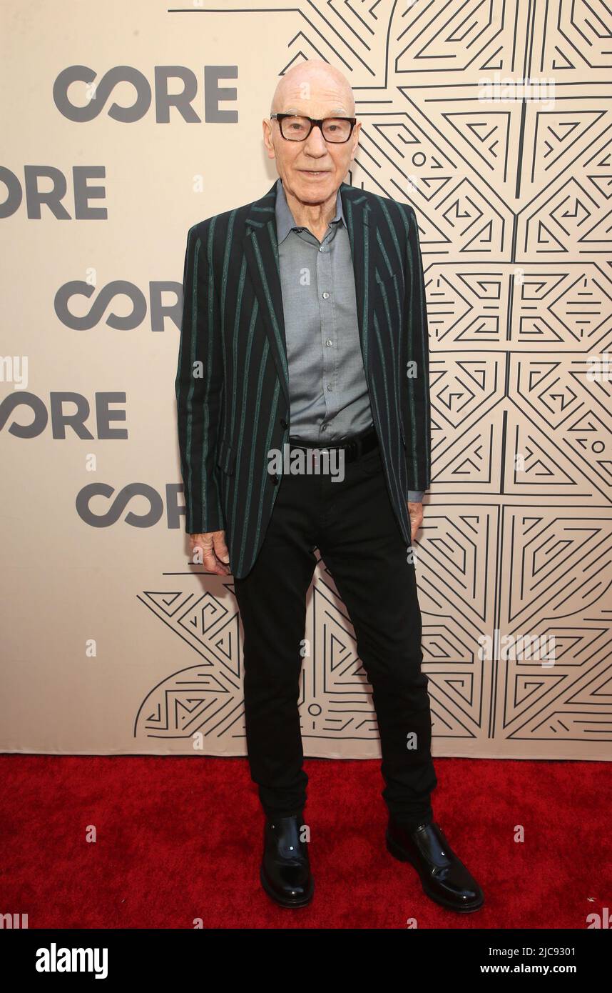 Patrick Stewart 2022