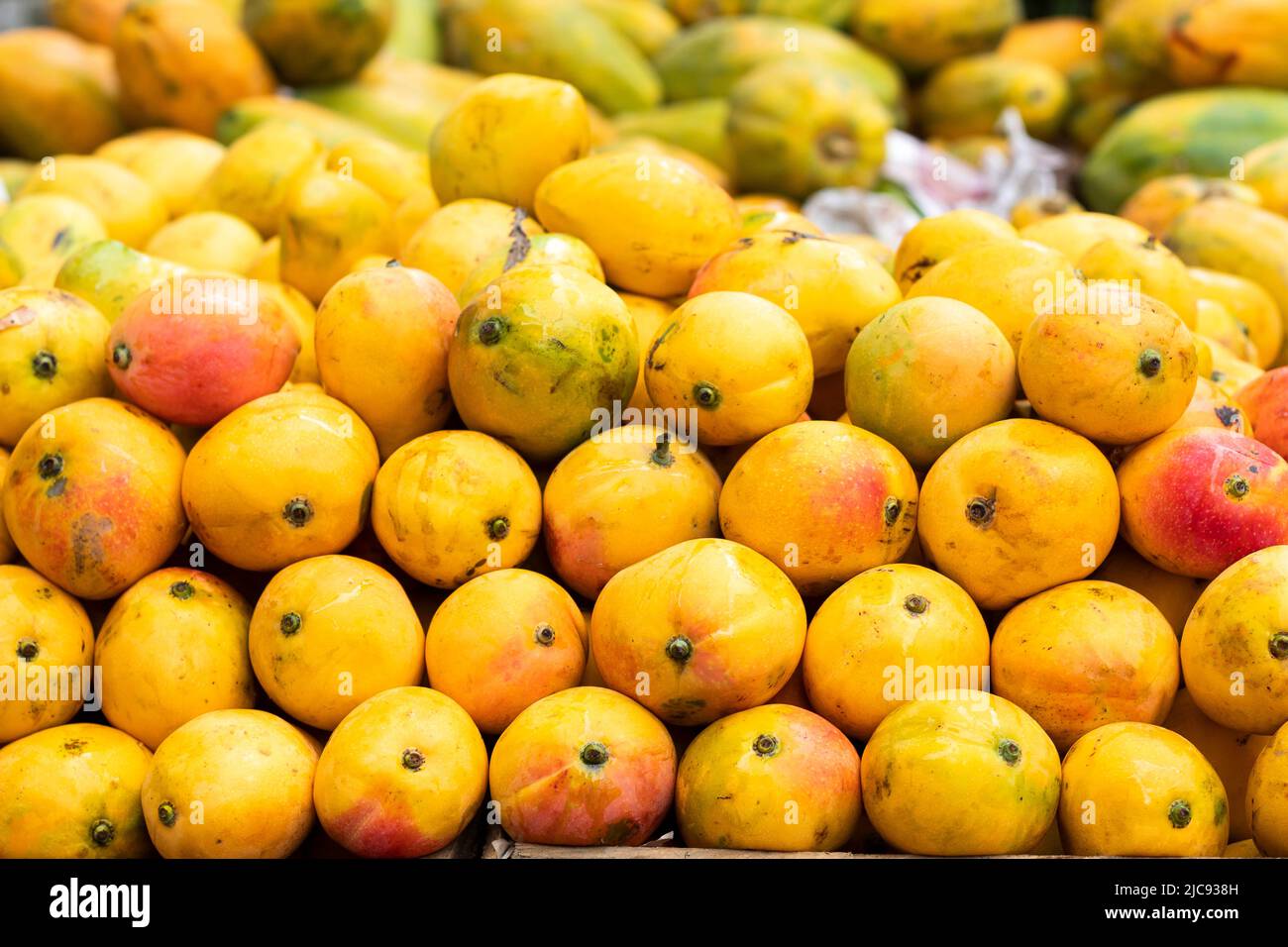 Fruta de mango hi-res stock photography and images - Alamy