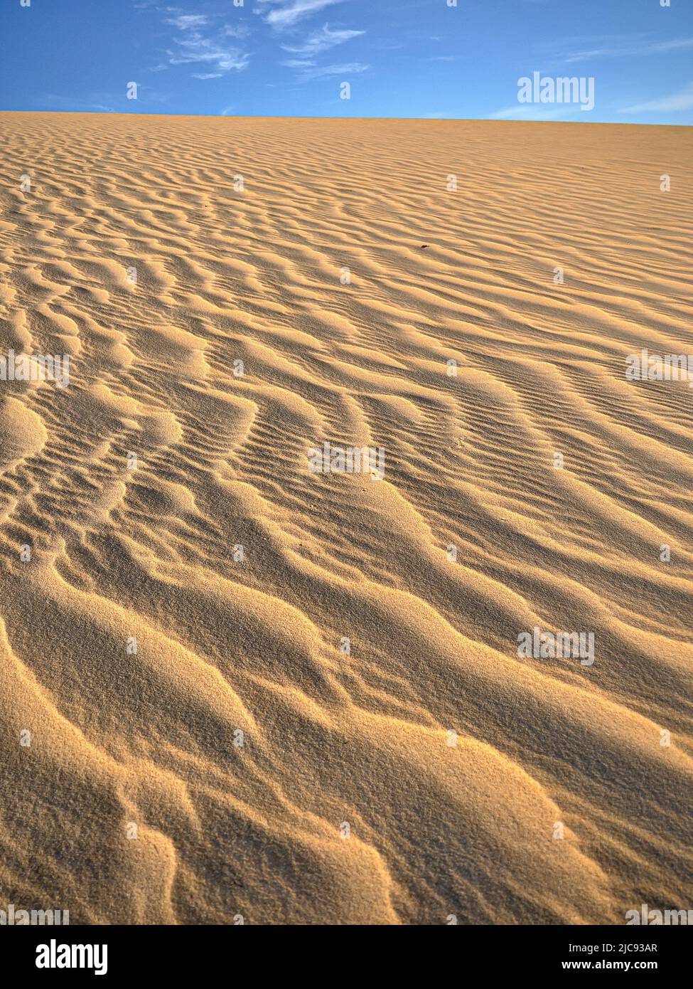 Sand dune in the Lençois Paracurense in Ceará, Brazil Stock Photo - Alamy
